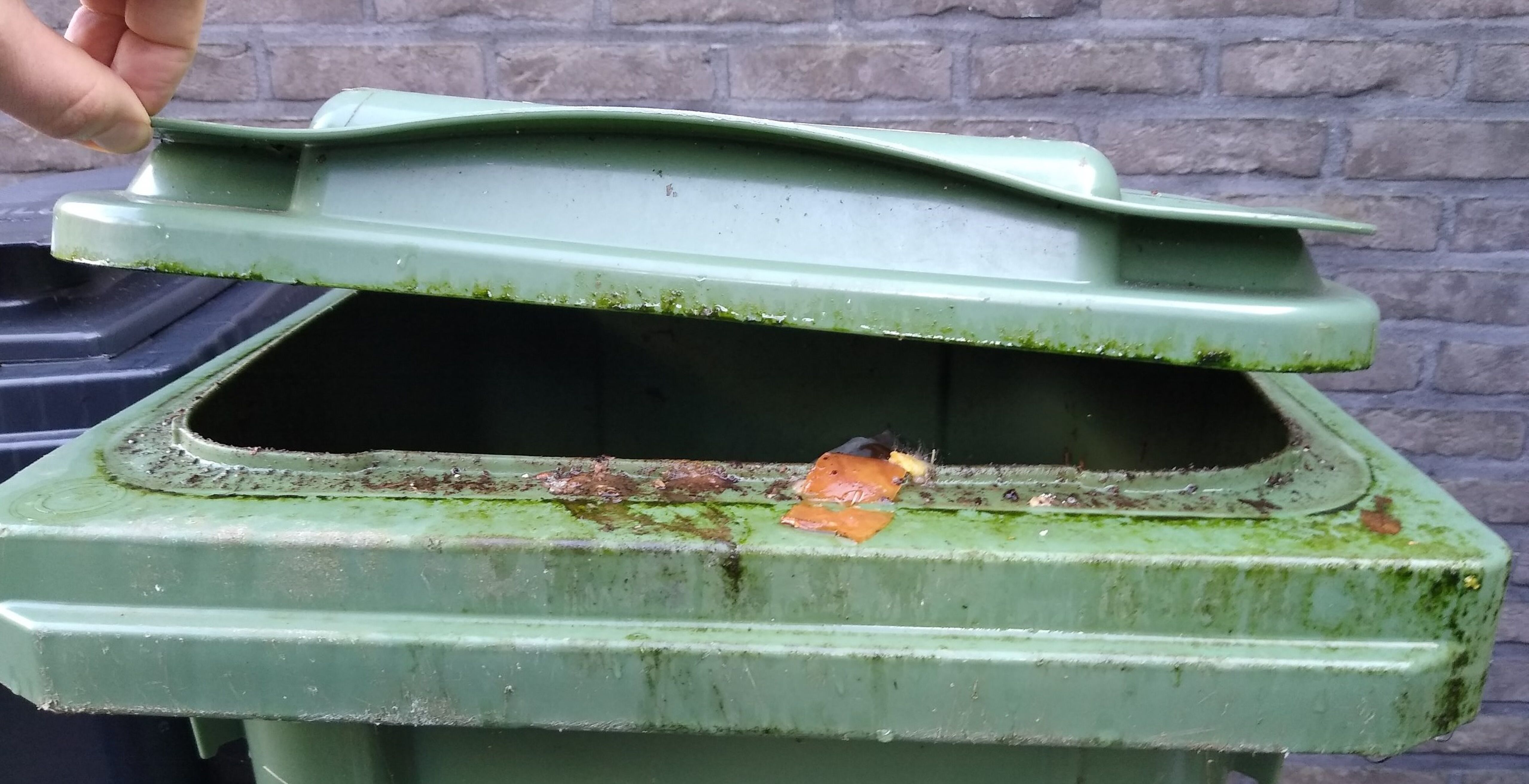 Veel vliegen bij je container? Dit boterham-trucje is dé oplossing