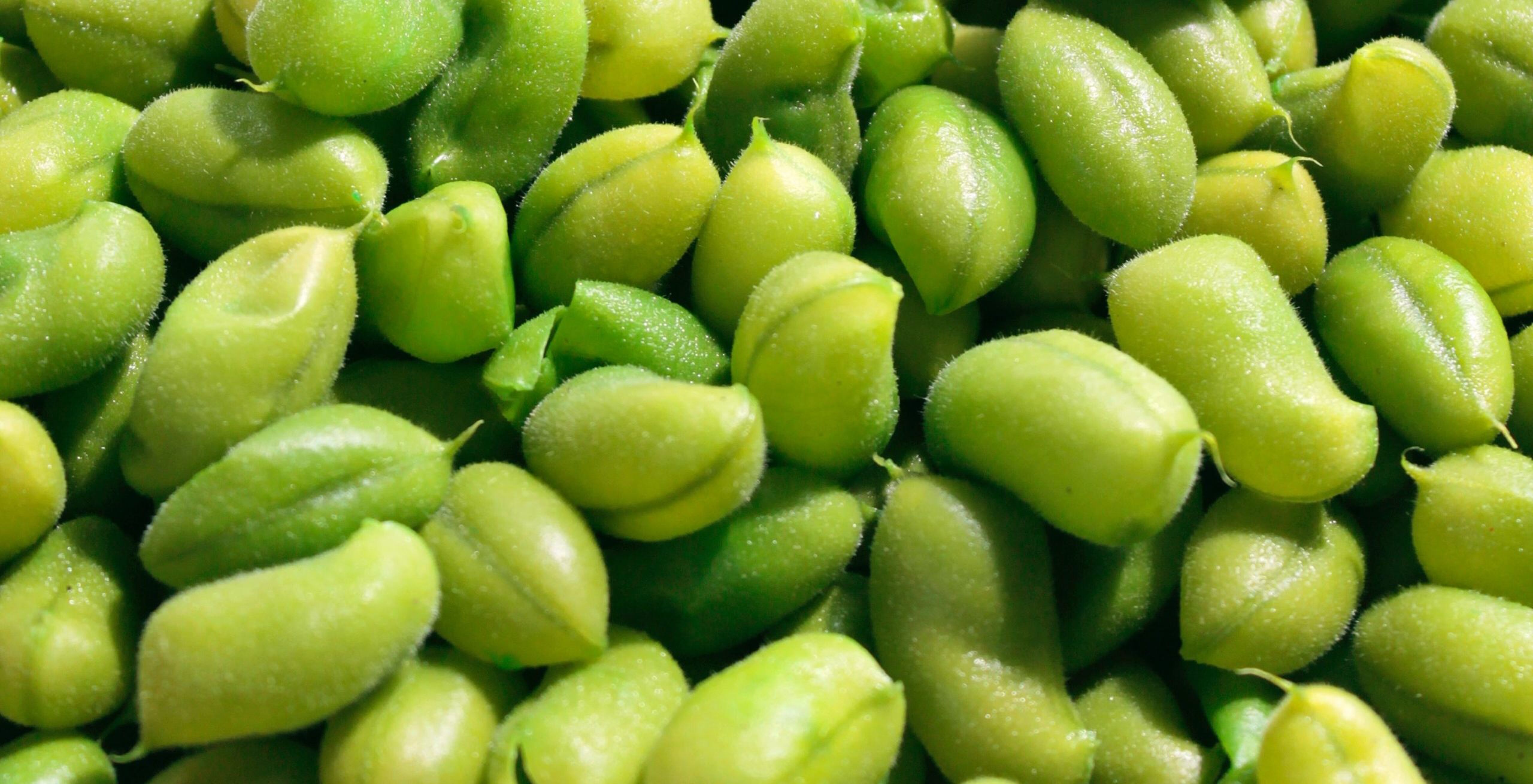 20 vegetarische voedingsmiddelen met veel eiwitten