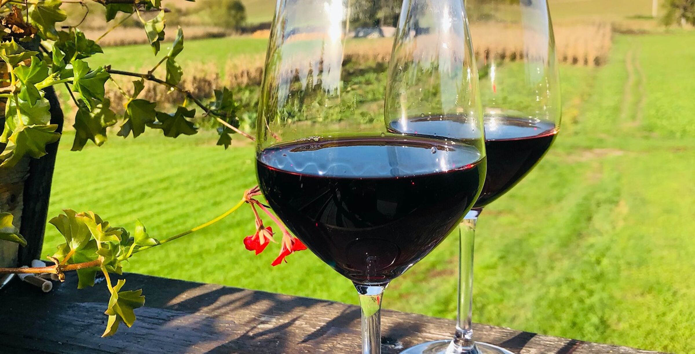 De top 10 beste rode wijnen van de Lidl