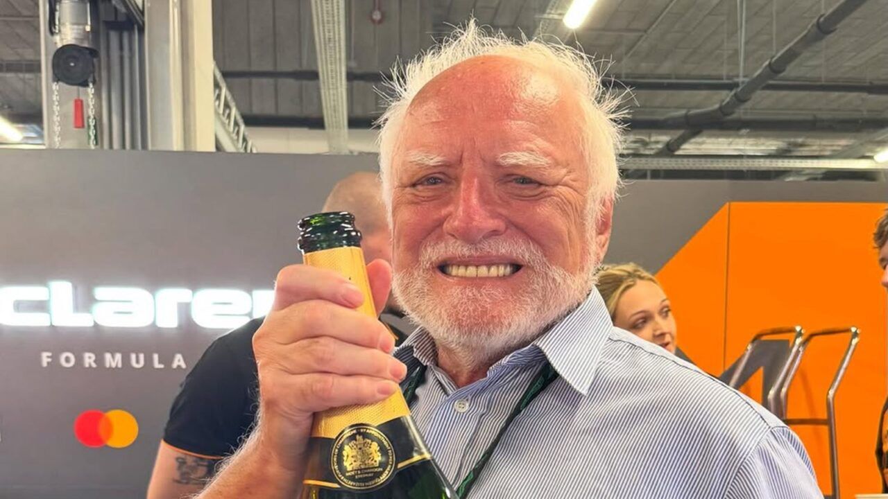 Het verhaal van András Arató, bekend als 'Hide the Pain Harold'