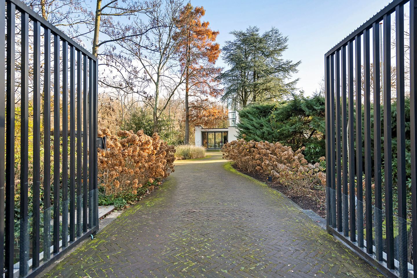 Funda: villa in het Kralingse Bos te koop voor € 12 miljoen