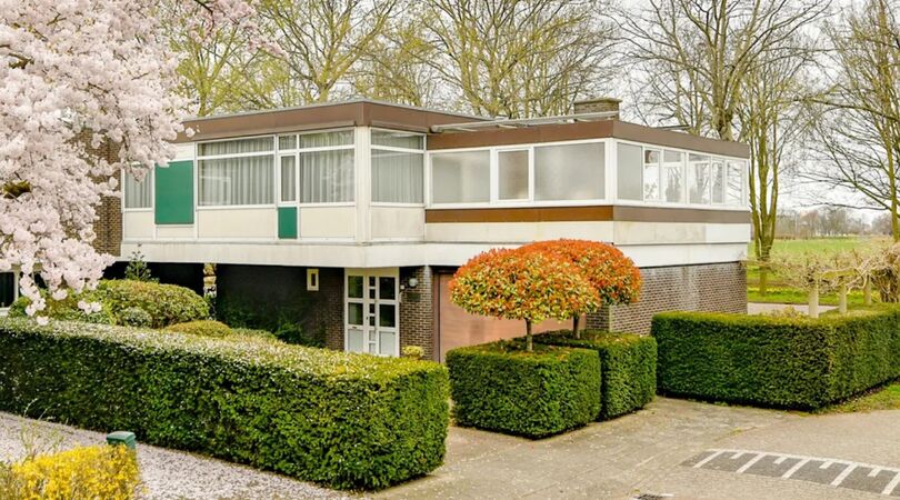 Dit containerzwembad is dé toevoeging aan jouw achtertuin